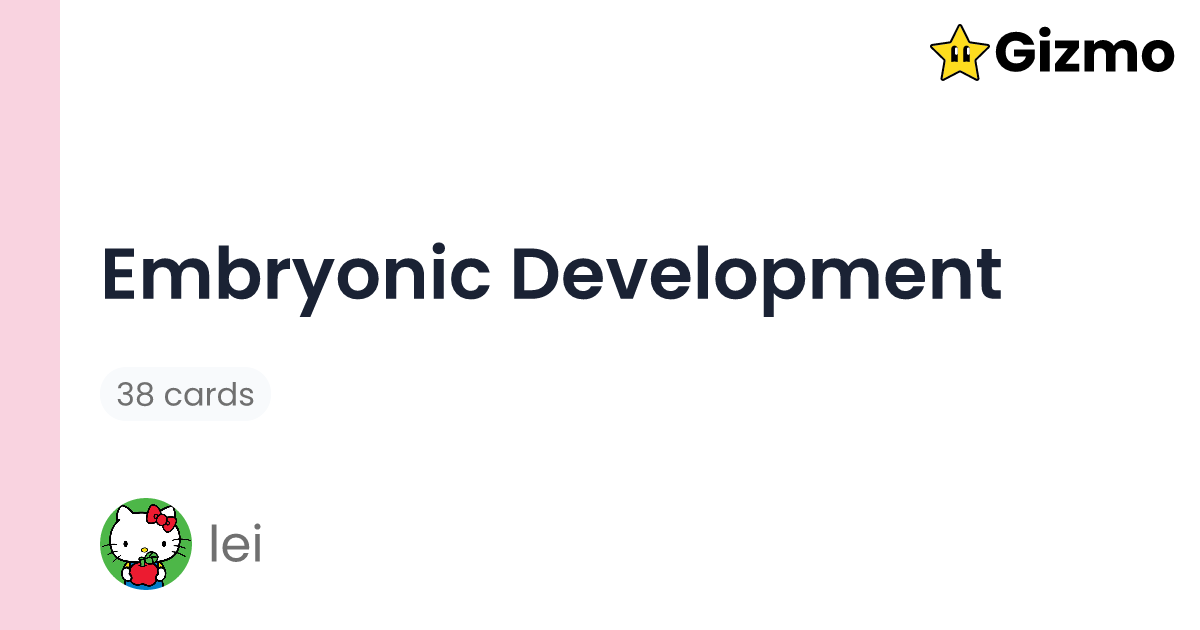 Embryonic Development | Flashcards