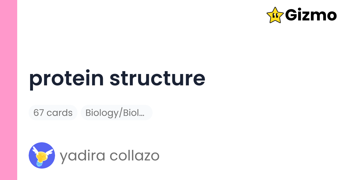 Protein Structure | Flashcards