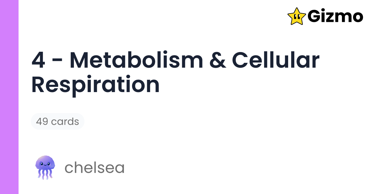 4 - Metabolism & Cellular Respiration | Flashcards