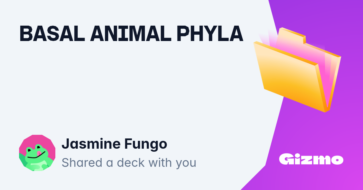 Basal Animal Phyla | Flashcards
