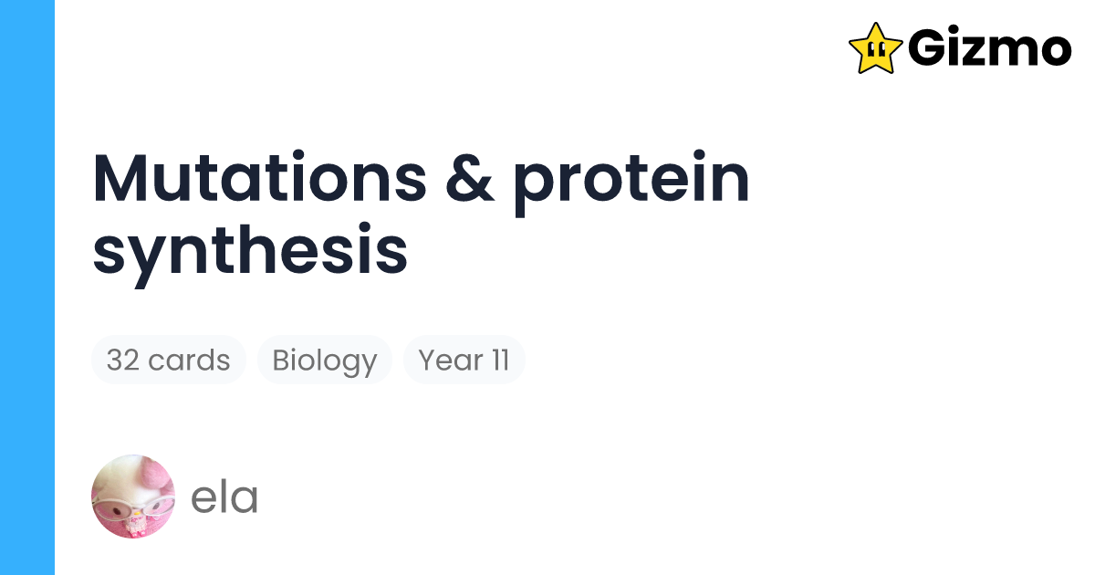 Mutations & Protein Synthesis | Flashcards