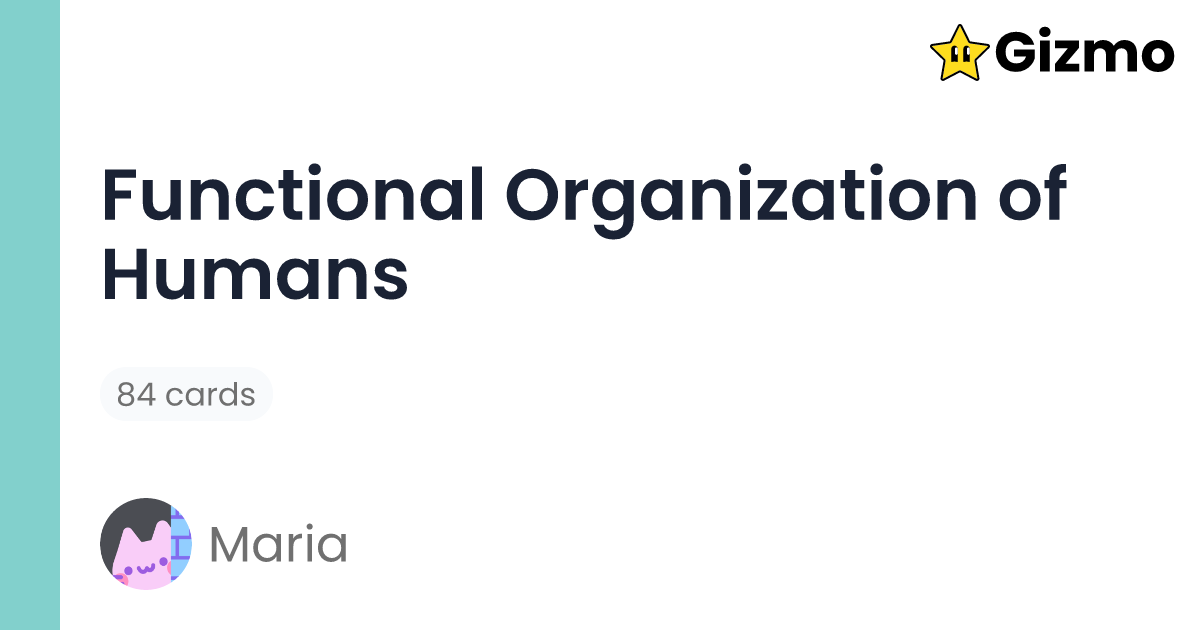 Functional Organization Of Humans | Flashcards