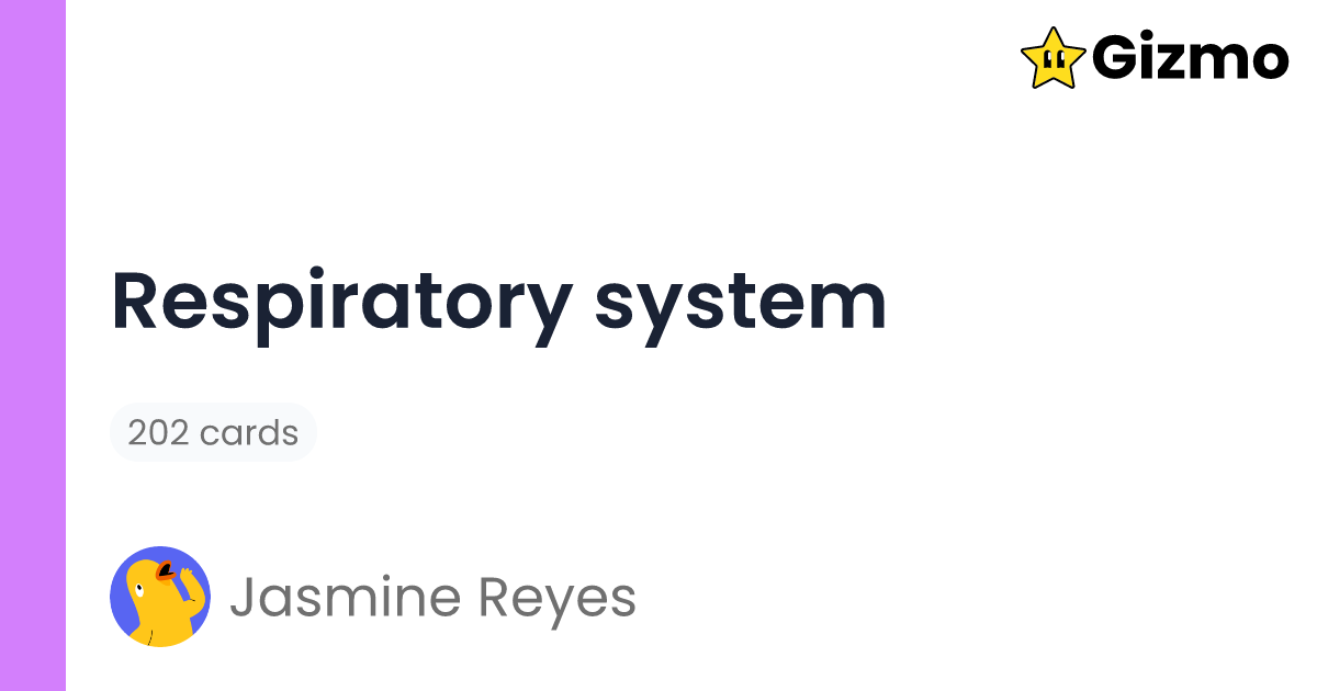 Respiratory System | Flashcards