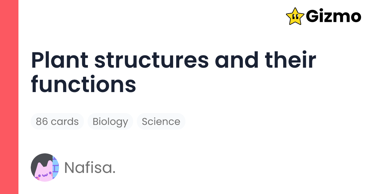 Plant Structures and Their Functions | Flashcards
