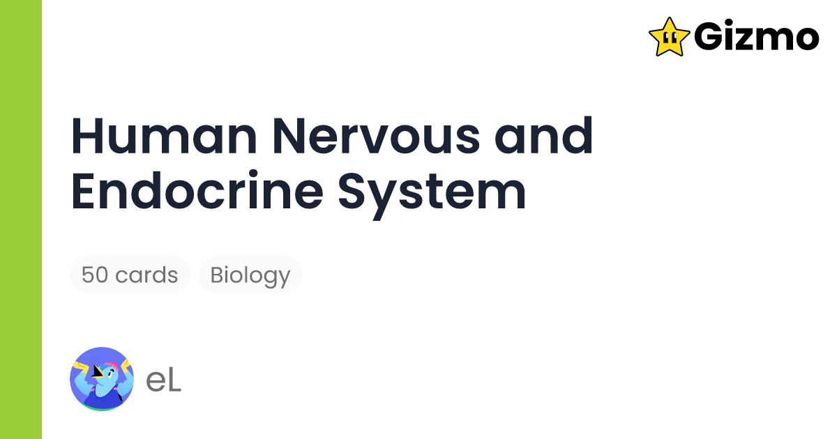 Human Nervous and Endocrine System | Flashcards