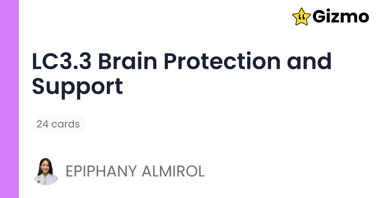 Lc3.3 Brain Protection and Support | Flashcards