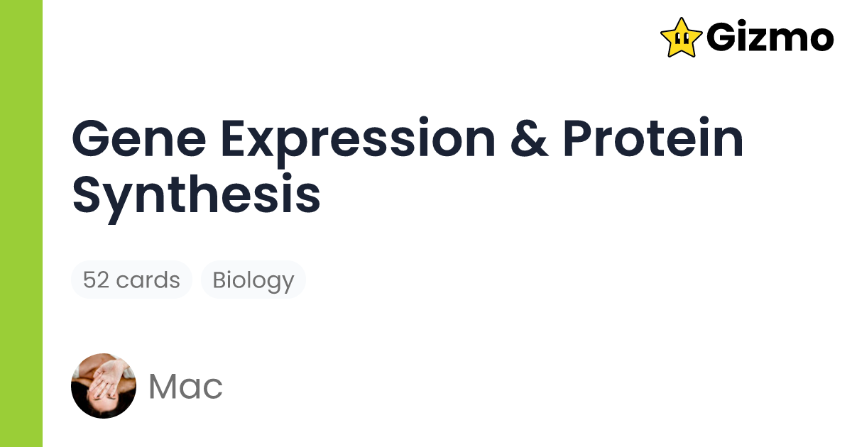 Gene Expression & Protein Synthesis | Flashcards