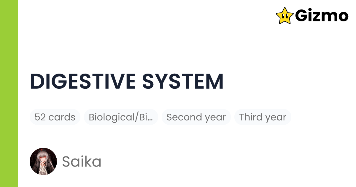 Digestive System | Flashcards