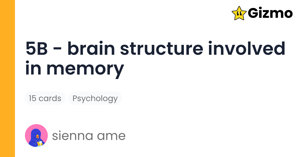 5b - Brain Structure Involved in Memory | Flashcards