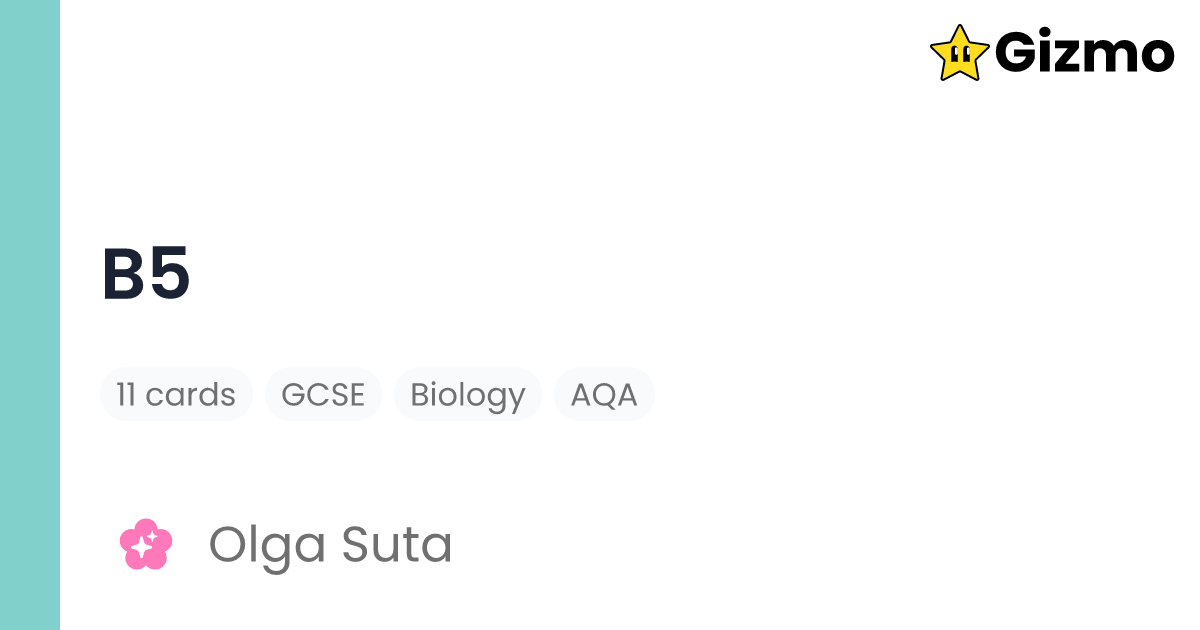 B5 | Flashcards