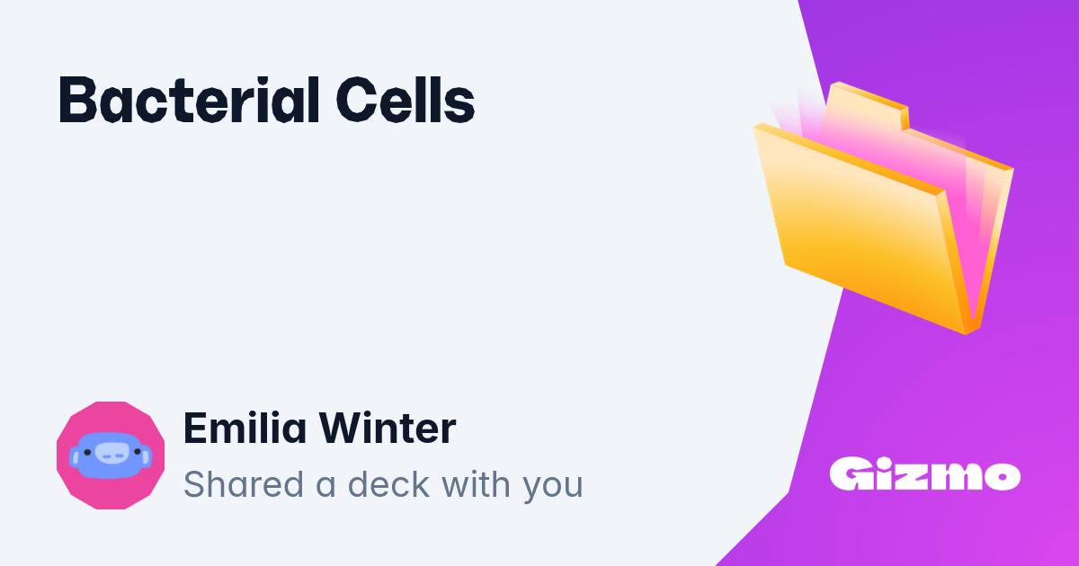 Bacterial Cells | Flashcards