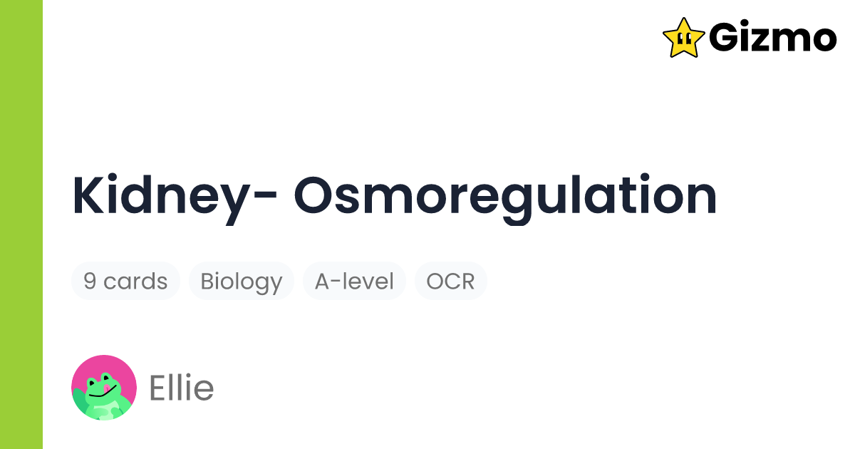 Kidney- Osmoregulation | Flashcards