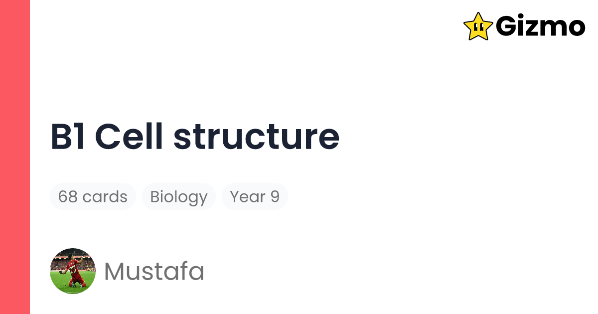 B1 Cell Structure | Flashcards