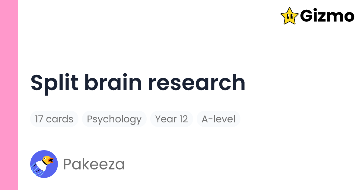 Split Brain Research | Flashcards