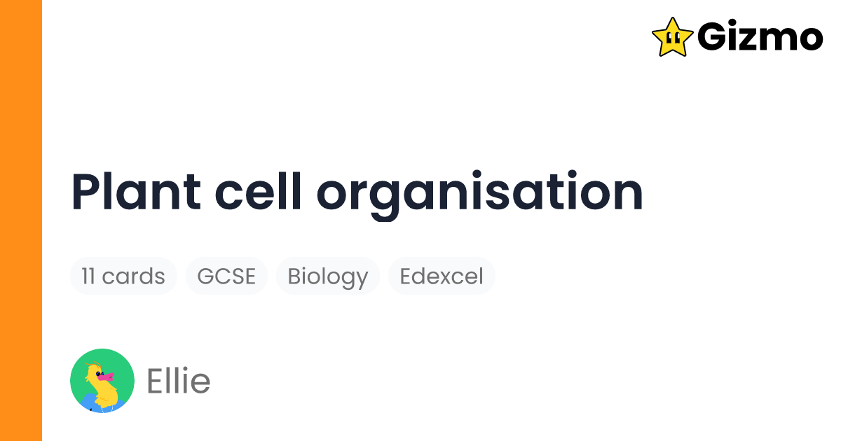 Plant Cell Organisation | Flashcards