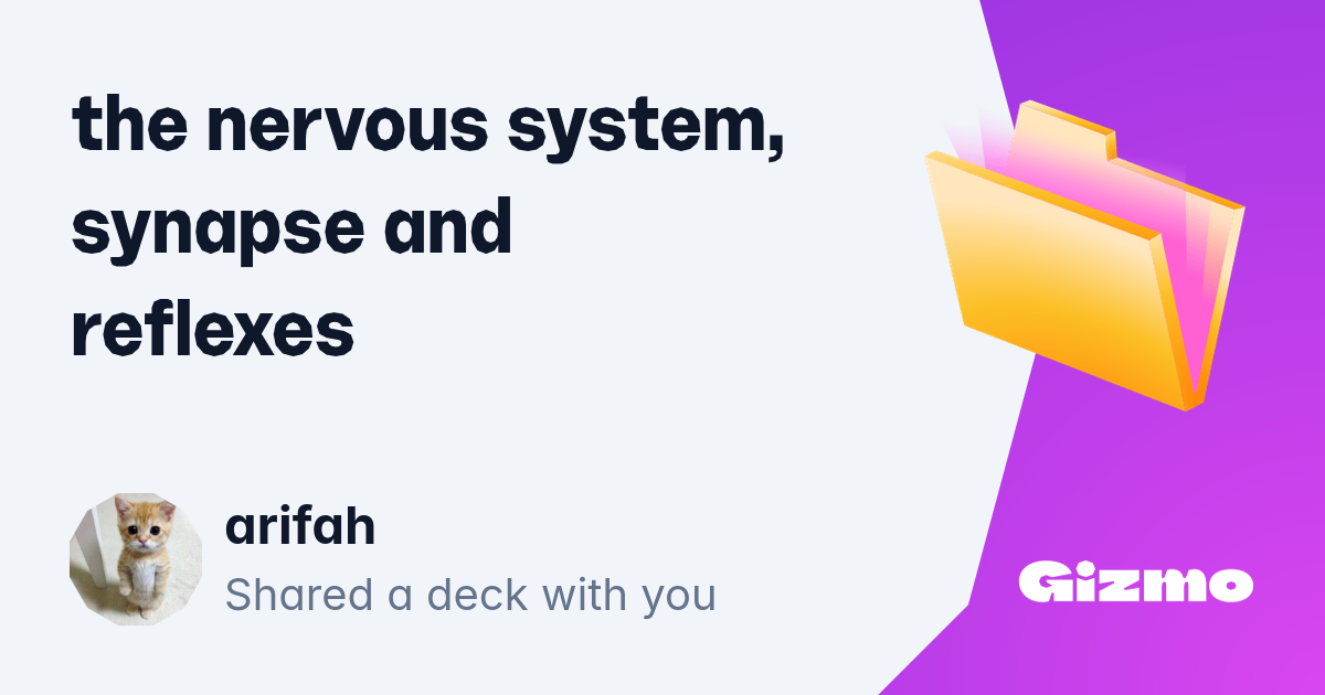 The Nervous System, Synapse and Reflexes | Flashcards