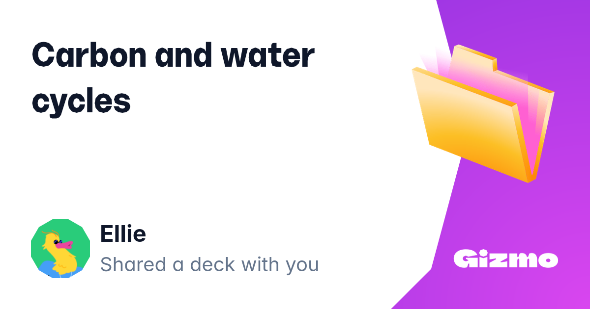 Carbon and Water Cycles | Flashcards
