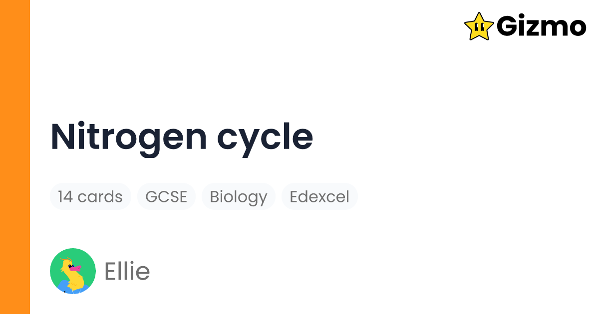 Nitrogen Cycle | Flashcards