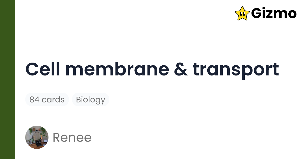 Cell Membrane & Transport | Flashcards