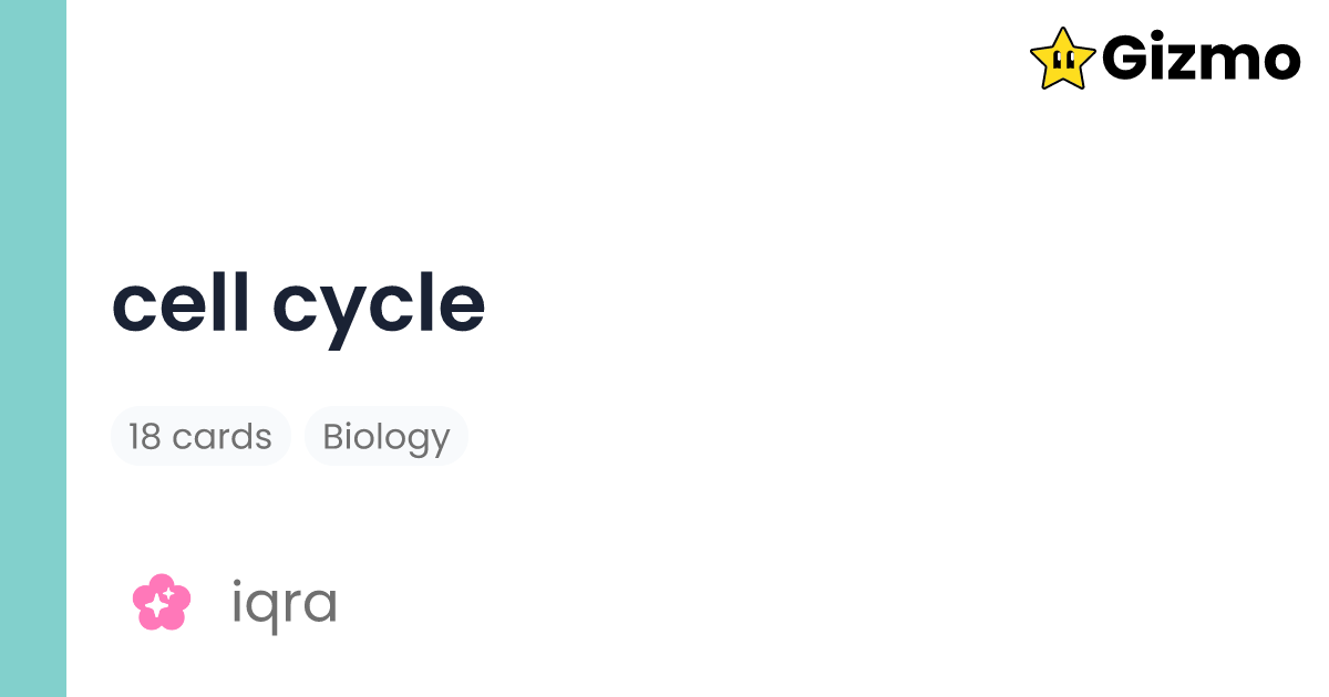 Cell Cycle | Flashcards