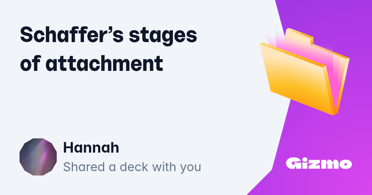 Schaffer’s Stages Of Attachment | Flashcards