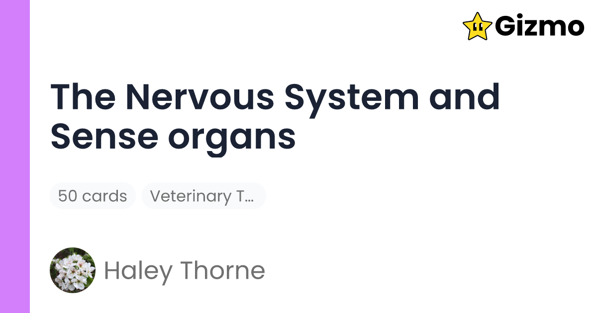 The Nervous System and Sense Organs | Flashcards