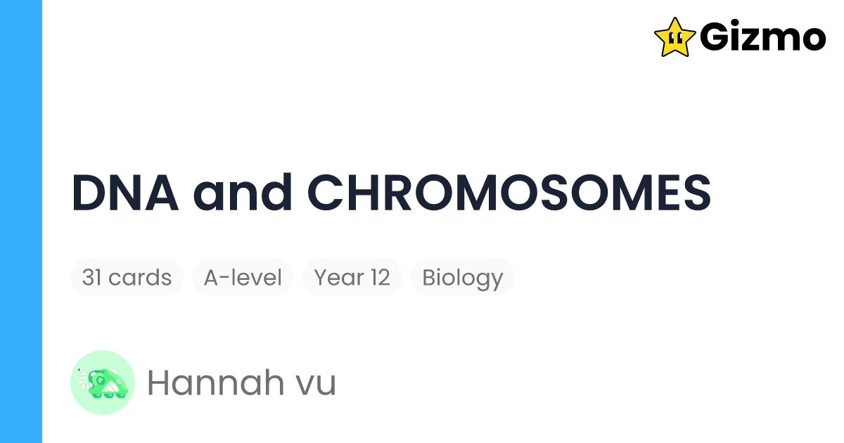 Dna and Chromosomes | Flashcards