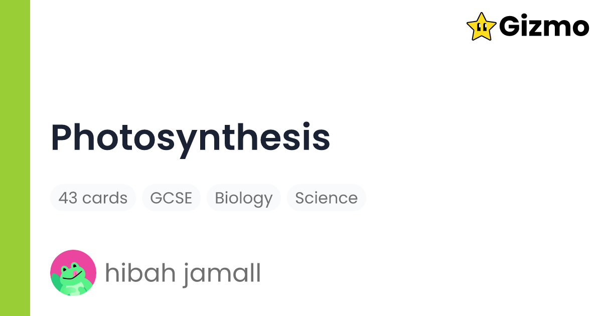 Photosynthesis | Flashcards