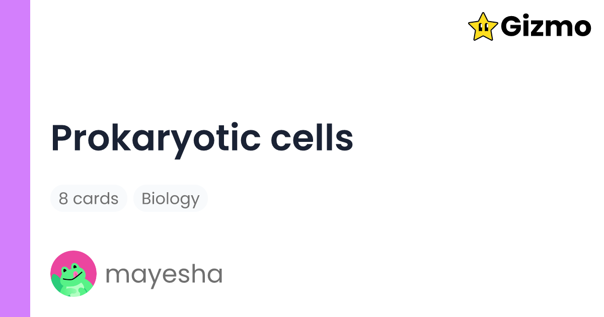 Prokaryotic Cells | Flashcards