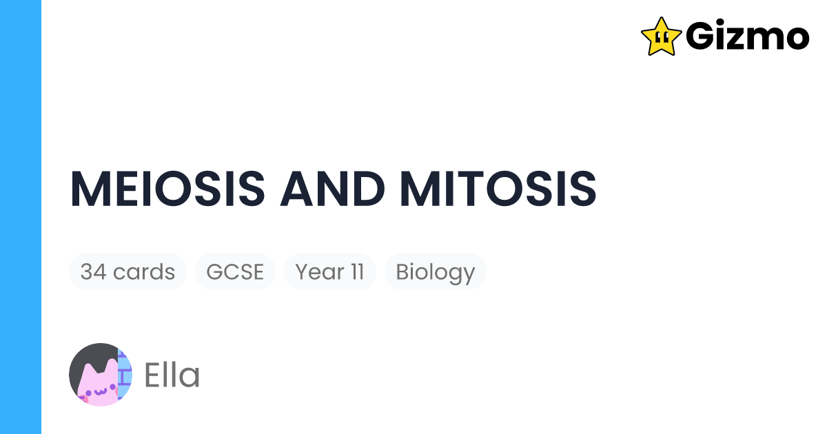 Meiosis and Mitosis | Flashcards