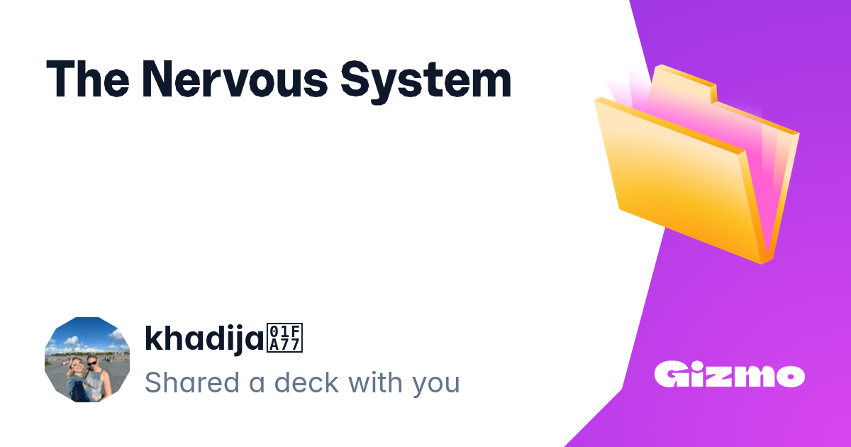 The Nervous System | Flashcards