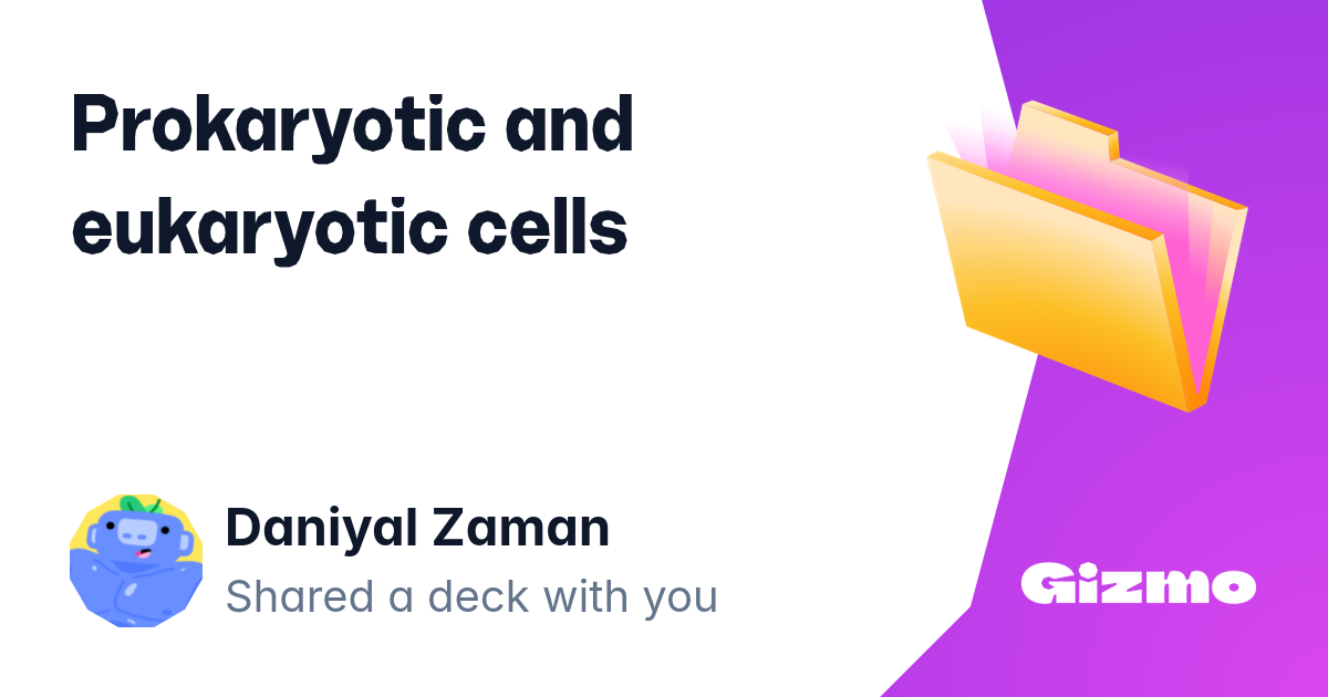 Prokaryotic and Eukaryotic Cells | Flashcards