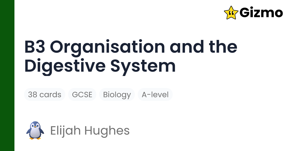 B3 Organisation and the Digestive System | Flashcards