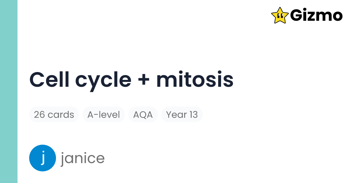 Cell Cycle + Mitosis | Flashcards