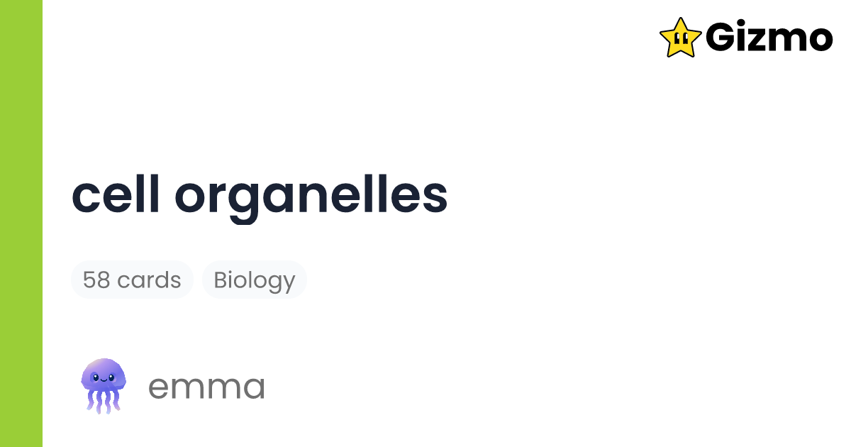 Cell Organelles | Flashcards