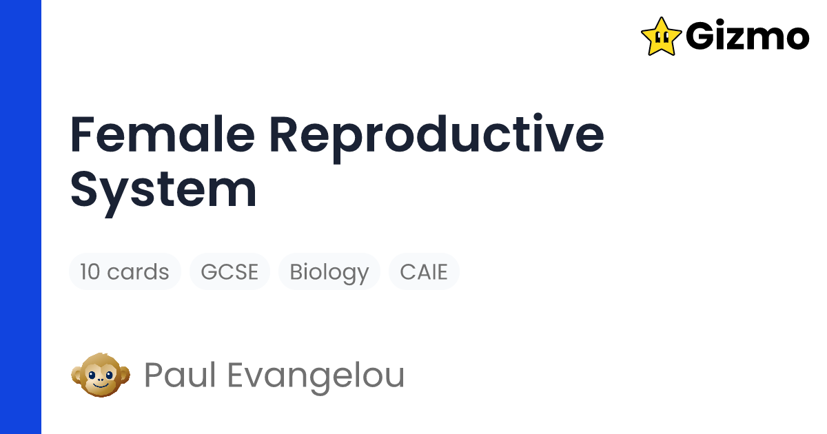 Female Reproductive System | Flashcards