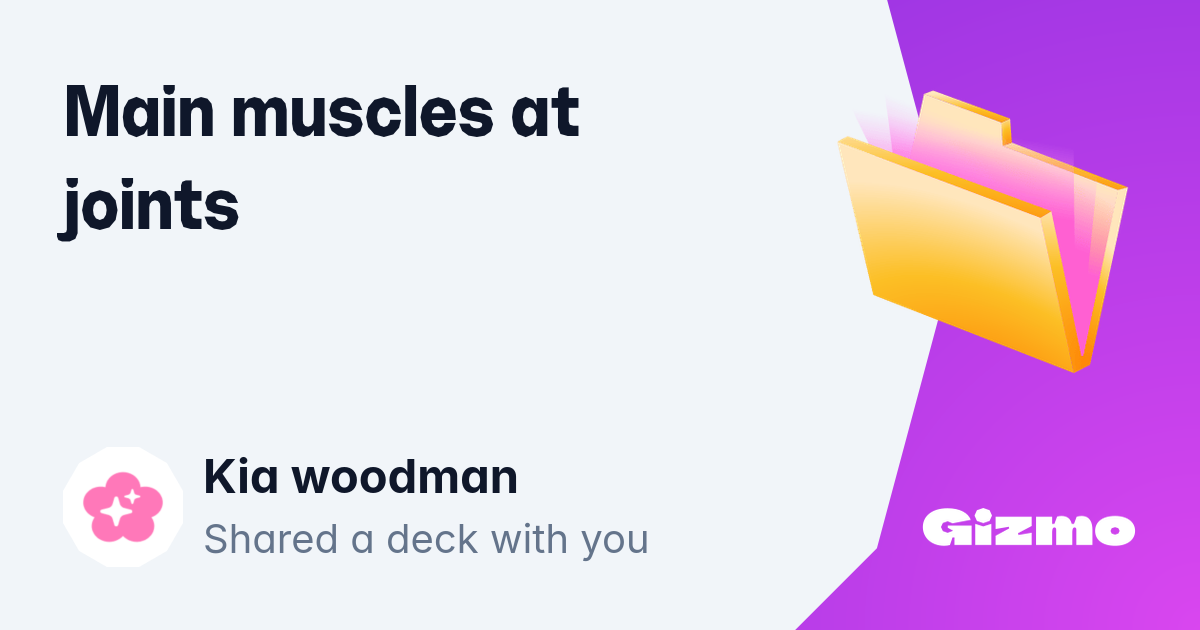 Main Muscles at Joints | Flashcards