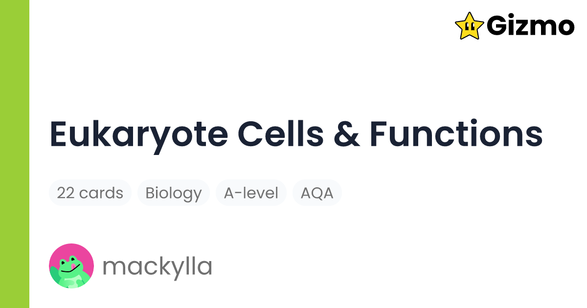 Eukaryote Cells & Functions | Flashcards