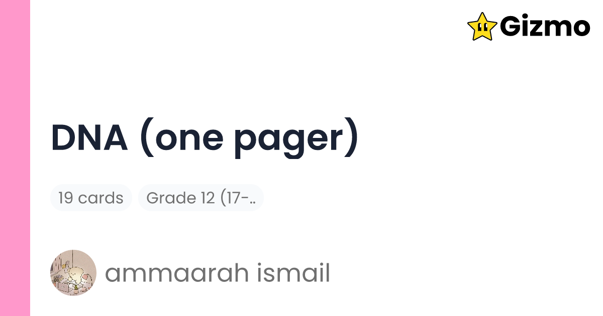 Dna (one Pager) | Flashcards