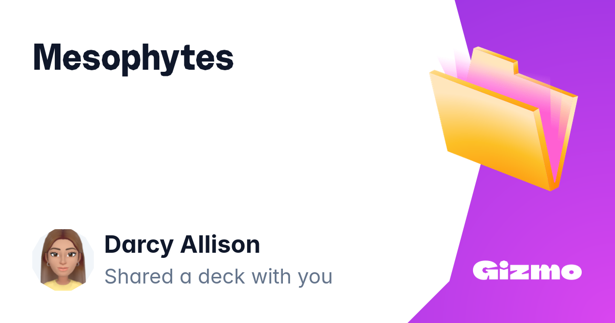 Mesophytes | Flashcards