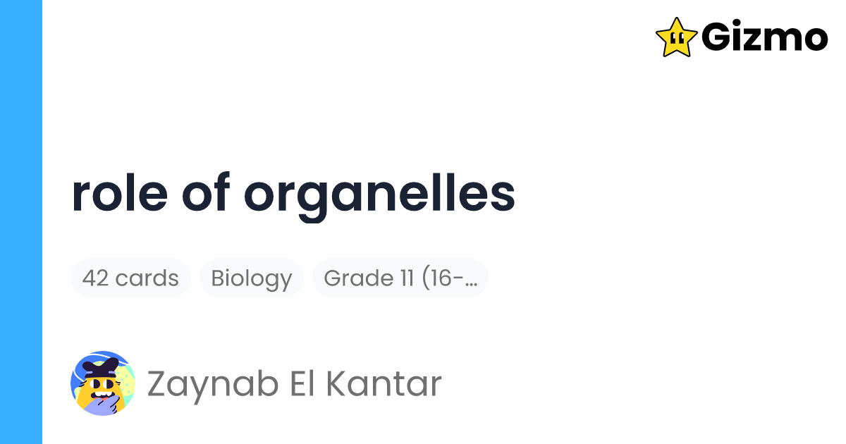 Role Of Organelles | Flashcards