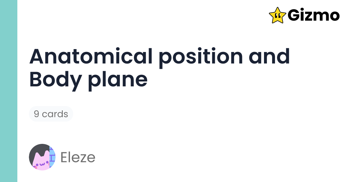Anatomical Position and Body Plane | Flashcards