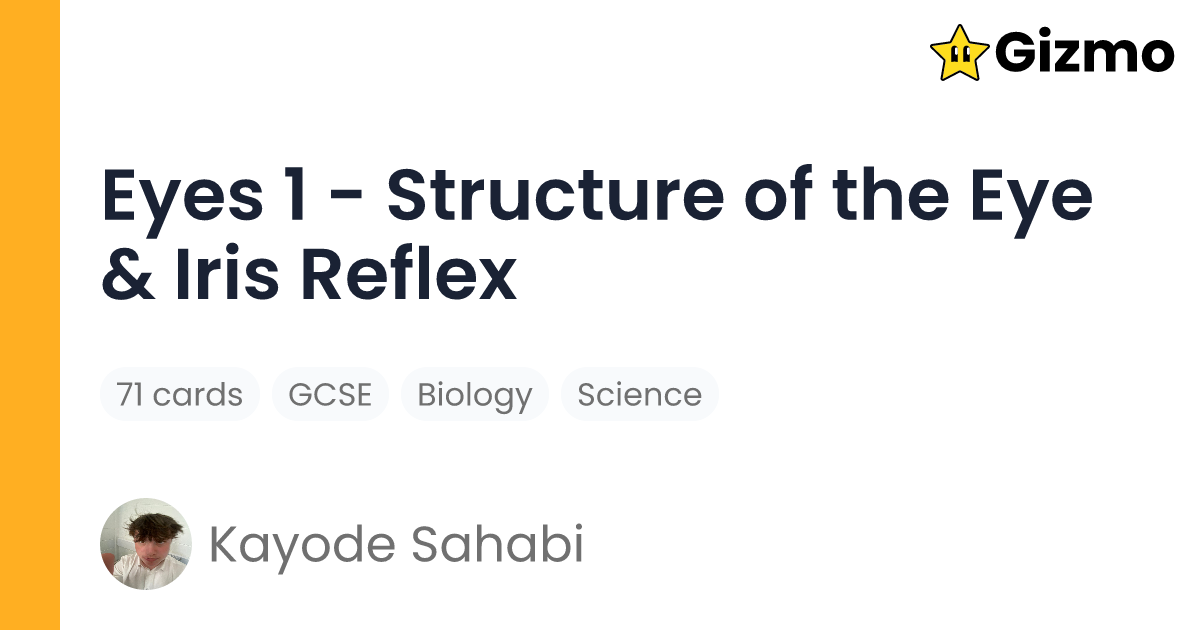 Eyes 1 - Structure Of the Eye & Iris Reflex | Flashcards