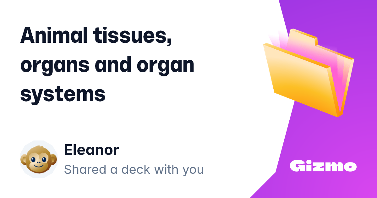 Animal Tissues, Organs and Organ Systems | Flashcards
