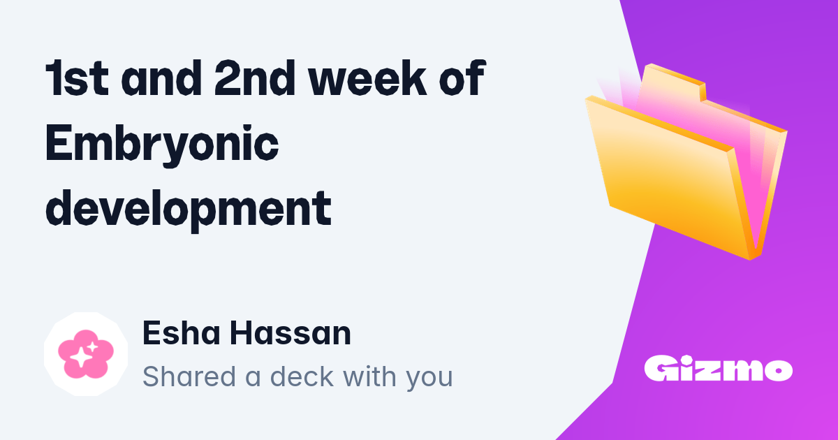 1st and 2nd Week Of Embryonic Development | Flashcards