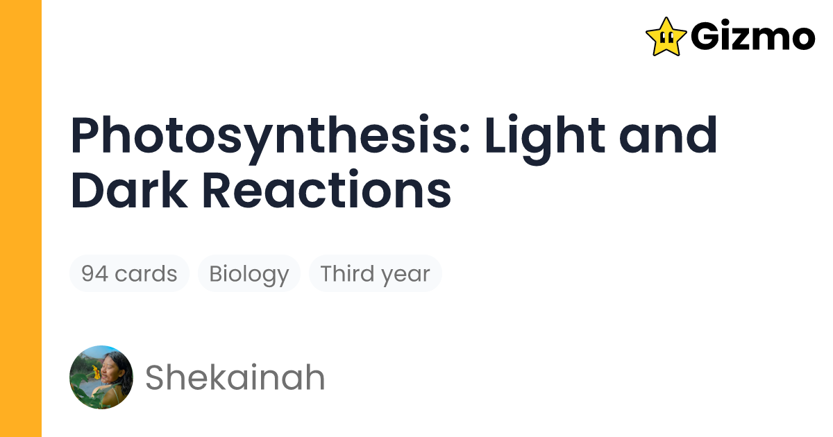 Photosynthesis: Light and Dark Reactions | Flashcards