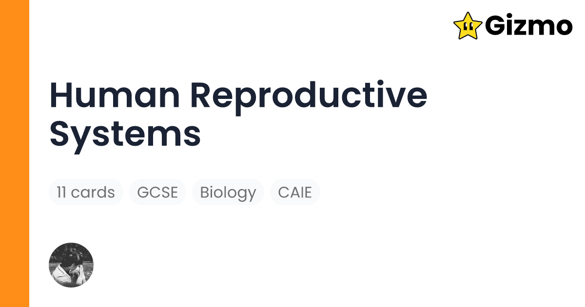 Human Reproductive Systems | Flashcards