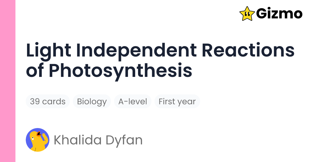 Light Independent Reactions Of Photosynthesis | Flashcards