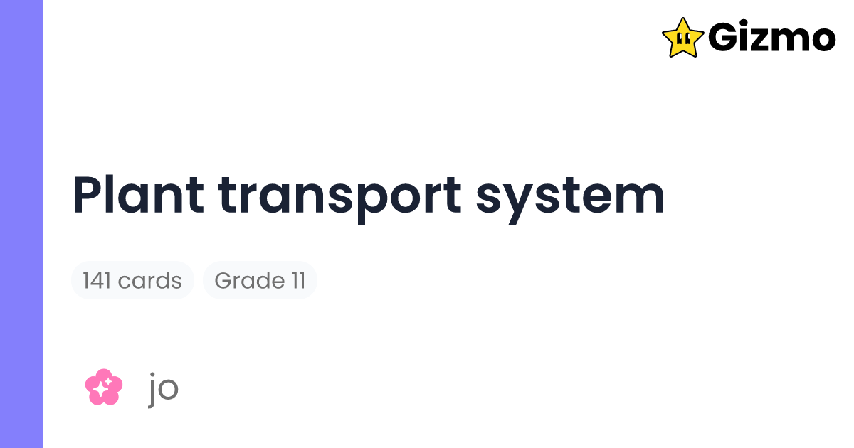 Plant Transport System | Flashcards