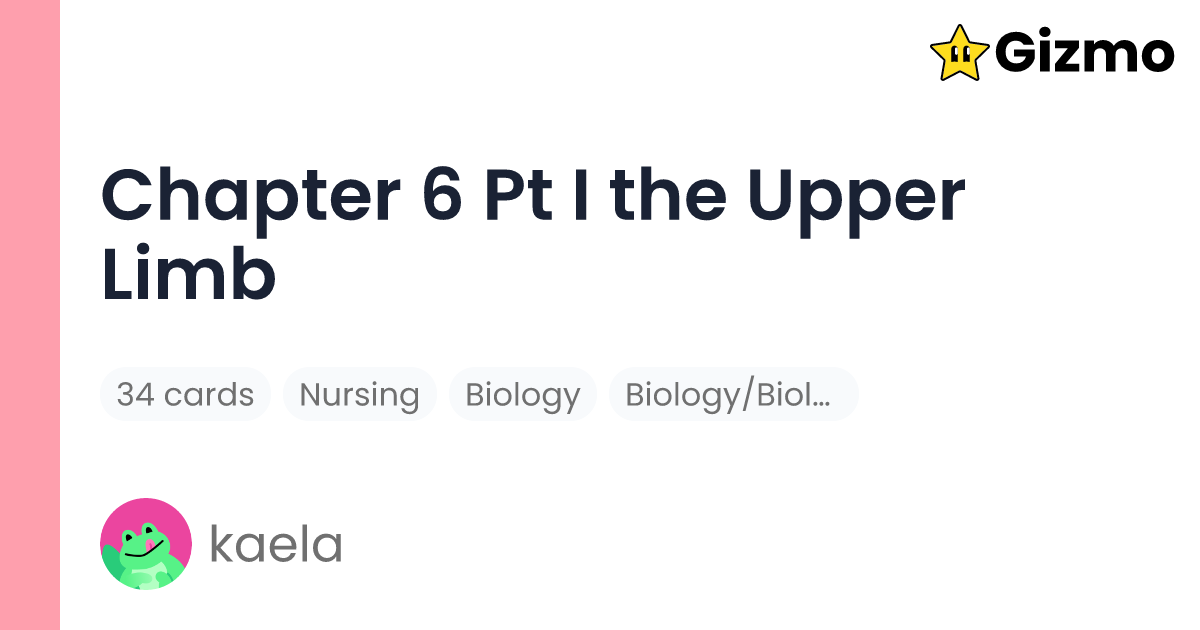 Chapter 6 Pt I the Upper Limb | Flashcards